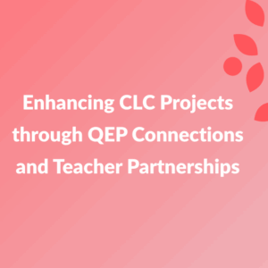 Professional Development - Community Learning Centres (CLC)