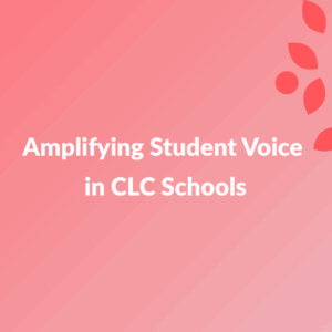 Professional Development - Community Learning Centres (CLC)