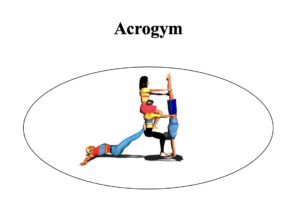 Acrogym - Educators