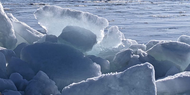 Icebreakers for the Online Classroom - Educators