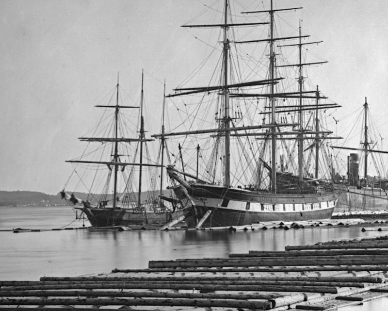 Tariffs, blockades & the timber trade - Educators